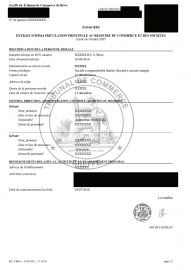 Handelsregister Frankreich